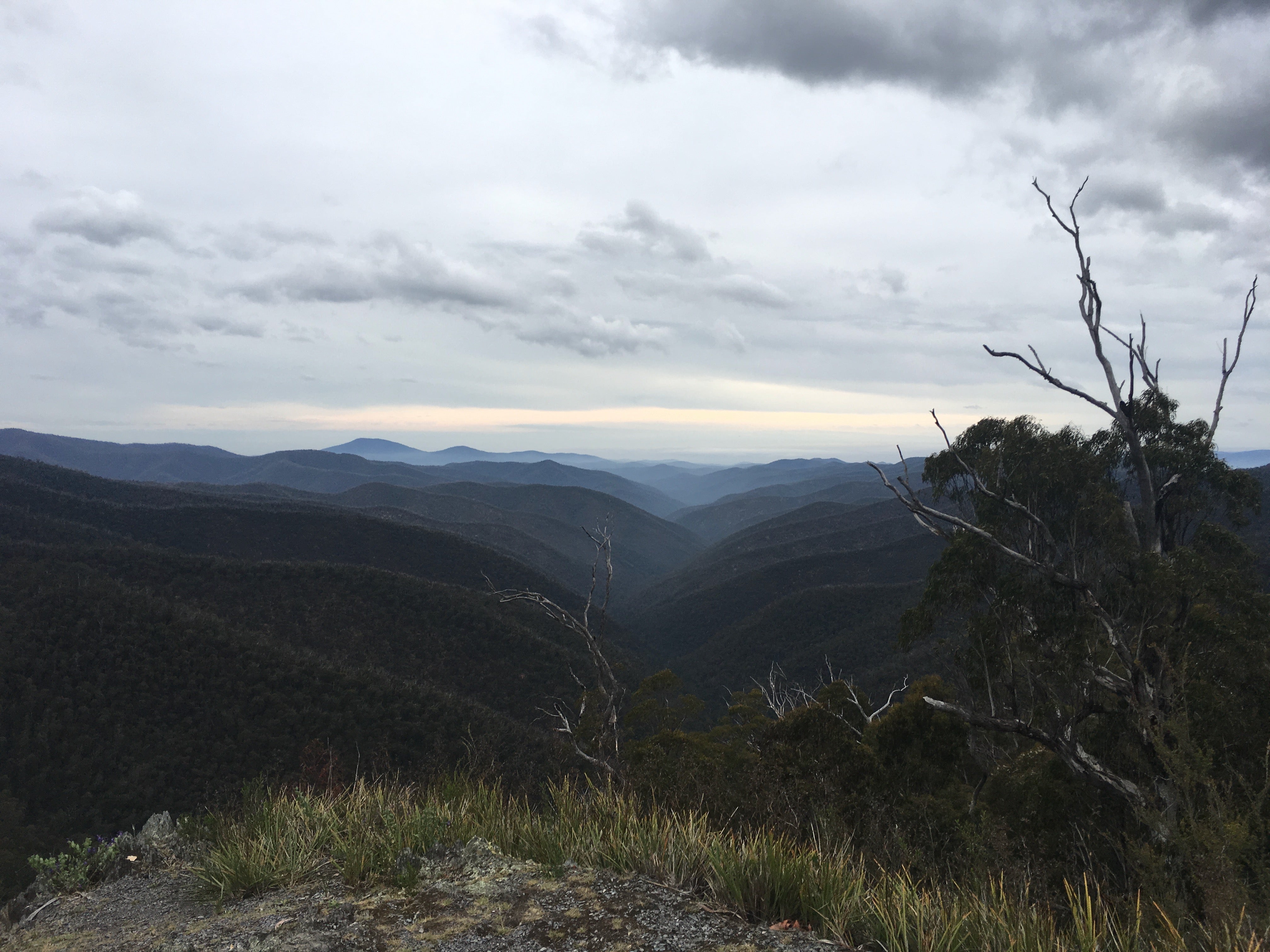 A rugged 5-Day 4WD Expedition through Victoria's High Country – Tracker 4x4